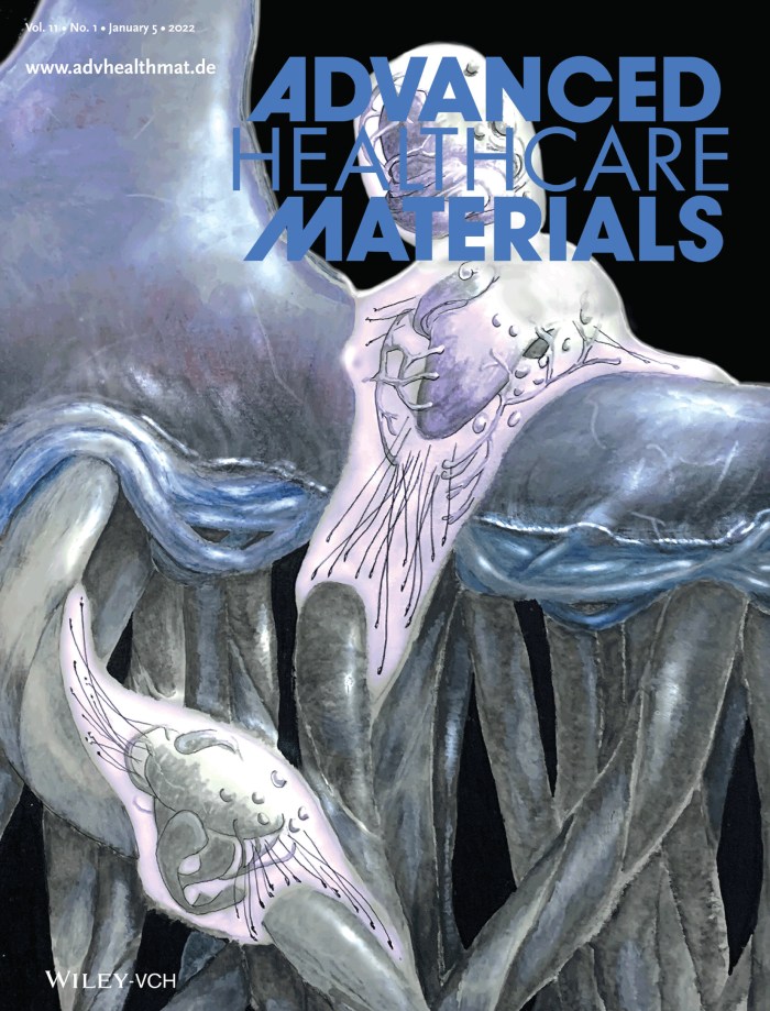 Erler Lab Publications | erlerlab